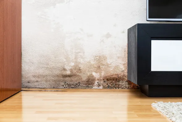 Introduction to Roof Vapour Barrier and Vapour Retarders - IKO