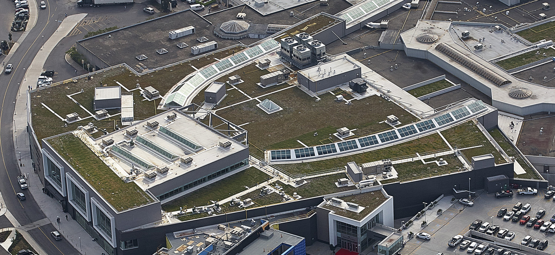 Guide to Commercial Green Roofs Systems - Intensive Green Roofs - IKO