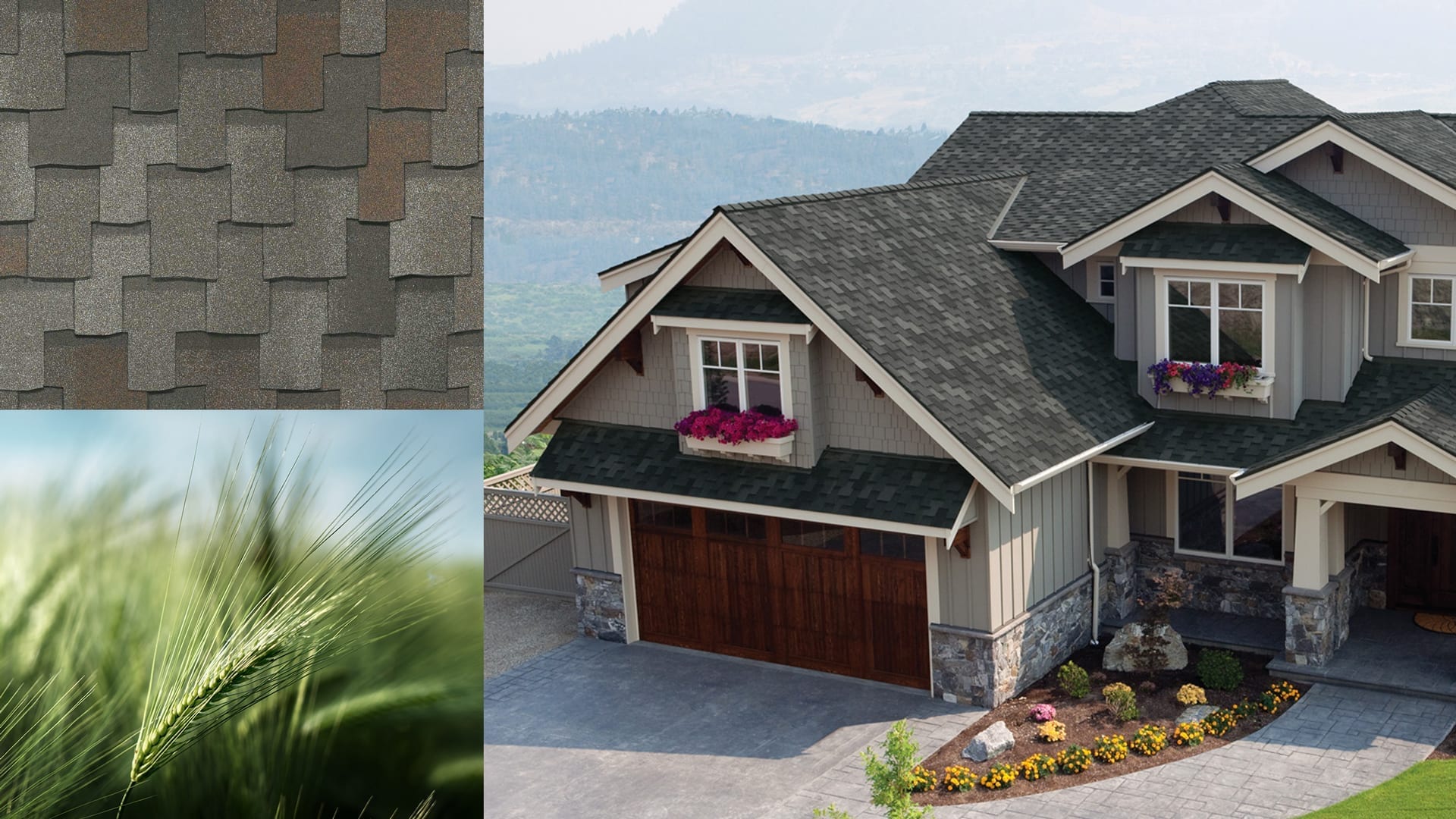 IKO Armourshake Shingles – Impact Resistant Asphalt Shingles